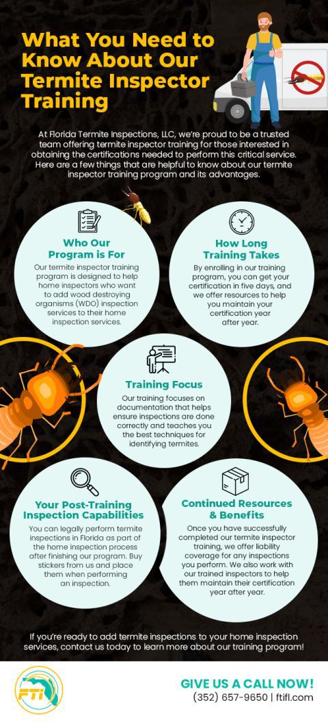 What You Need to Know About Our Termite Inspector Training [infographic ...